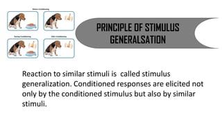 Classical conditioning | PDF
