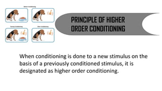 Classical conditioning | PDF