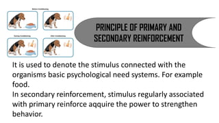 Classical conditioning | PDF
