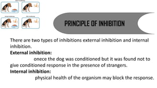 Classical conditioning | PDF