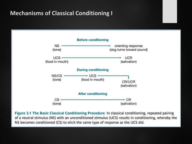 Behaviorism and Classical Conditioning | PPTX | Science