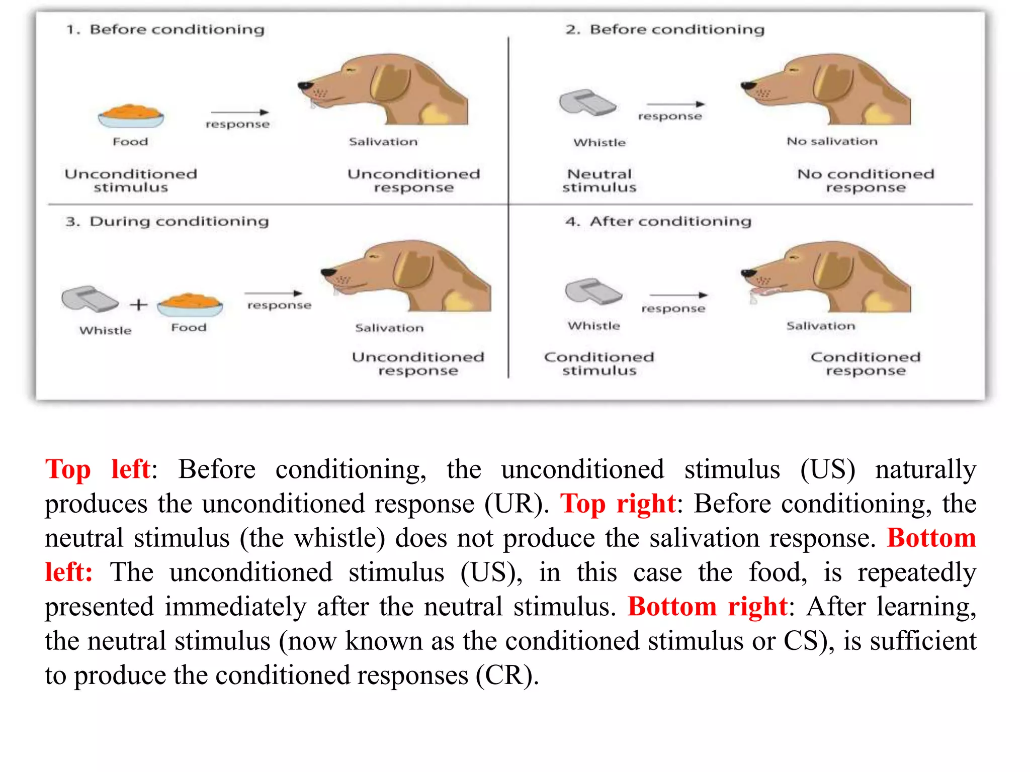 Classical conditioning | PPTX