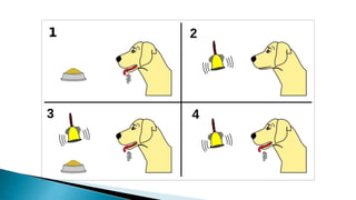Classical conditioning | PPTX
