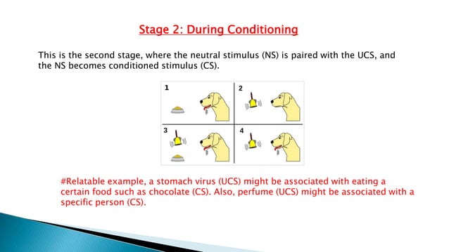 Classical conditioning | PPTX