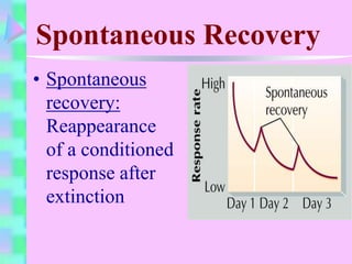 Classical Conditioning.pdf