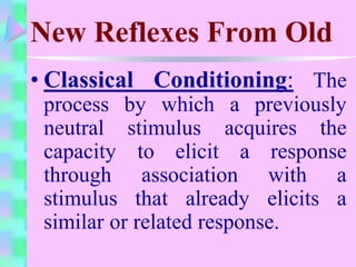 Classical Conditioning.pdf