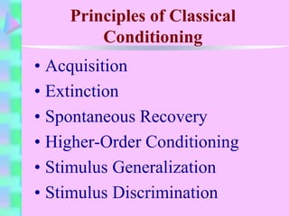 Classical Conditioning.pdf