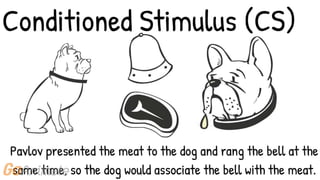 Classical Conditioning.pptx | Science