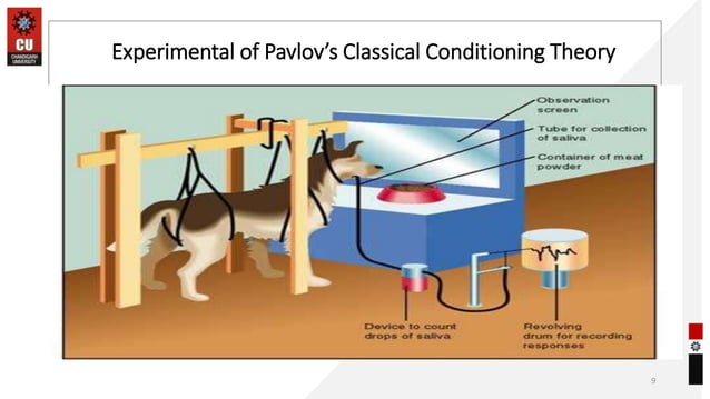 CLASSICAL CONDITIONING.pptx