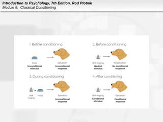 classical conditioning.pptx
