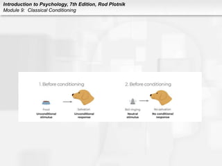 classical conditioning.pptx