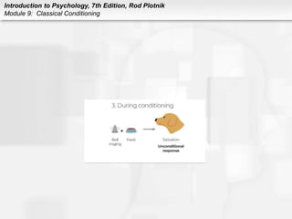 classical conditioning.pptx