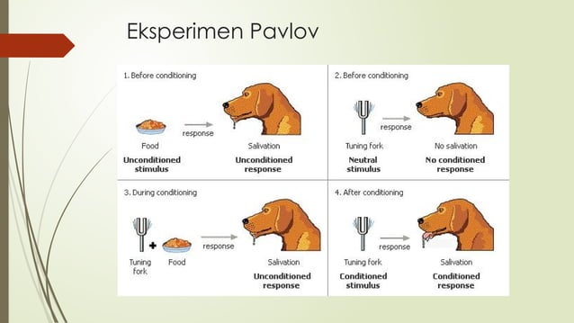 Classical Conditioning Theory by Ivan Pavlov | PPTX