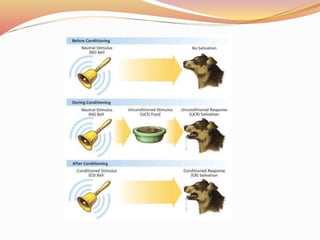 Classical Conditioning | PPTX