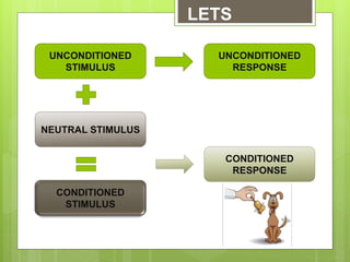 Classical conditioning and operant conditioning | PPTX