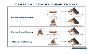 Classical conditioning b.ed notes by pavlov pptx(1).pptx