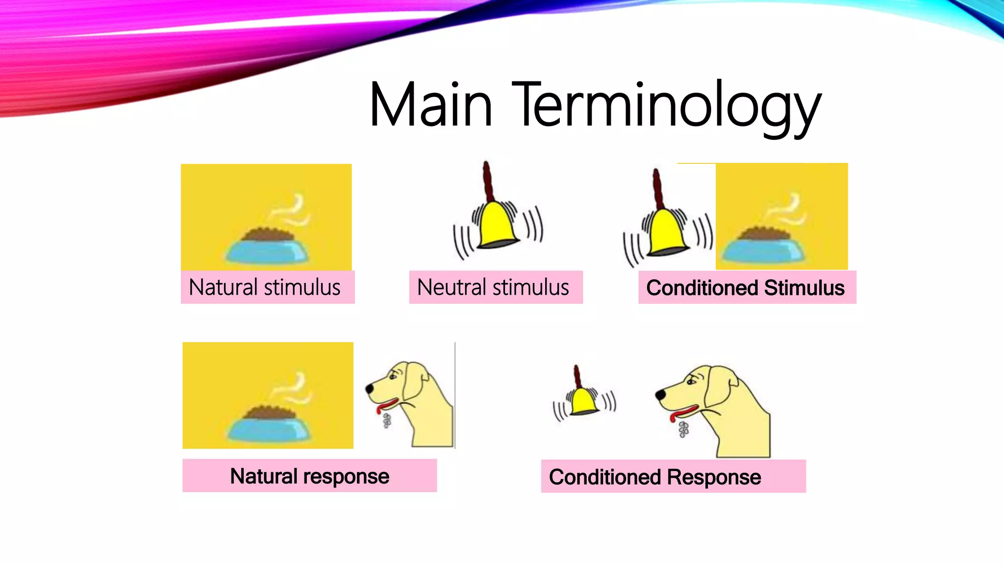 Classical Conditioning Theory of Learning | PPTX