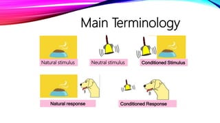 Classical Conditioning Theory of Learning | PPTX