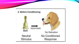 Classical Conditioning Theory of Learning | PPTX