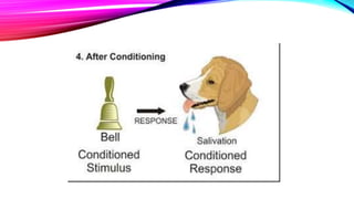Classical Conditioning Theory of Learning | PPTX