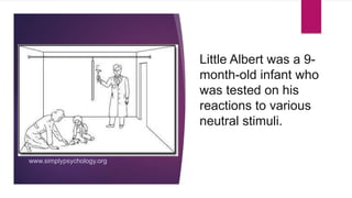 Classical conditioning little Albert's experiment | PPTX