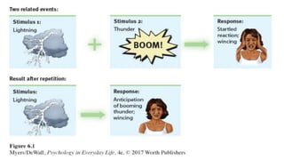 Classical conditioning little Albert's experiment | PPTX