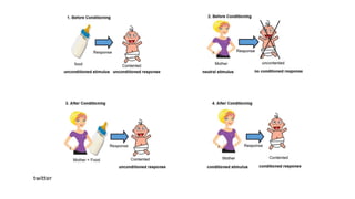Classical conditioning little Albert's experiment | PPTX