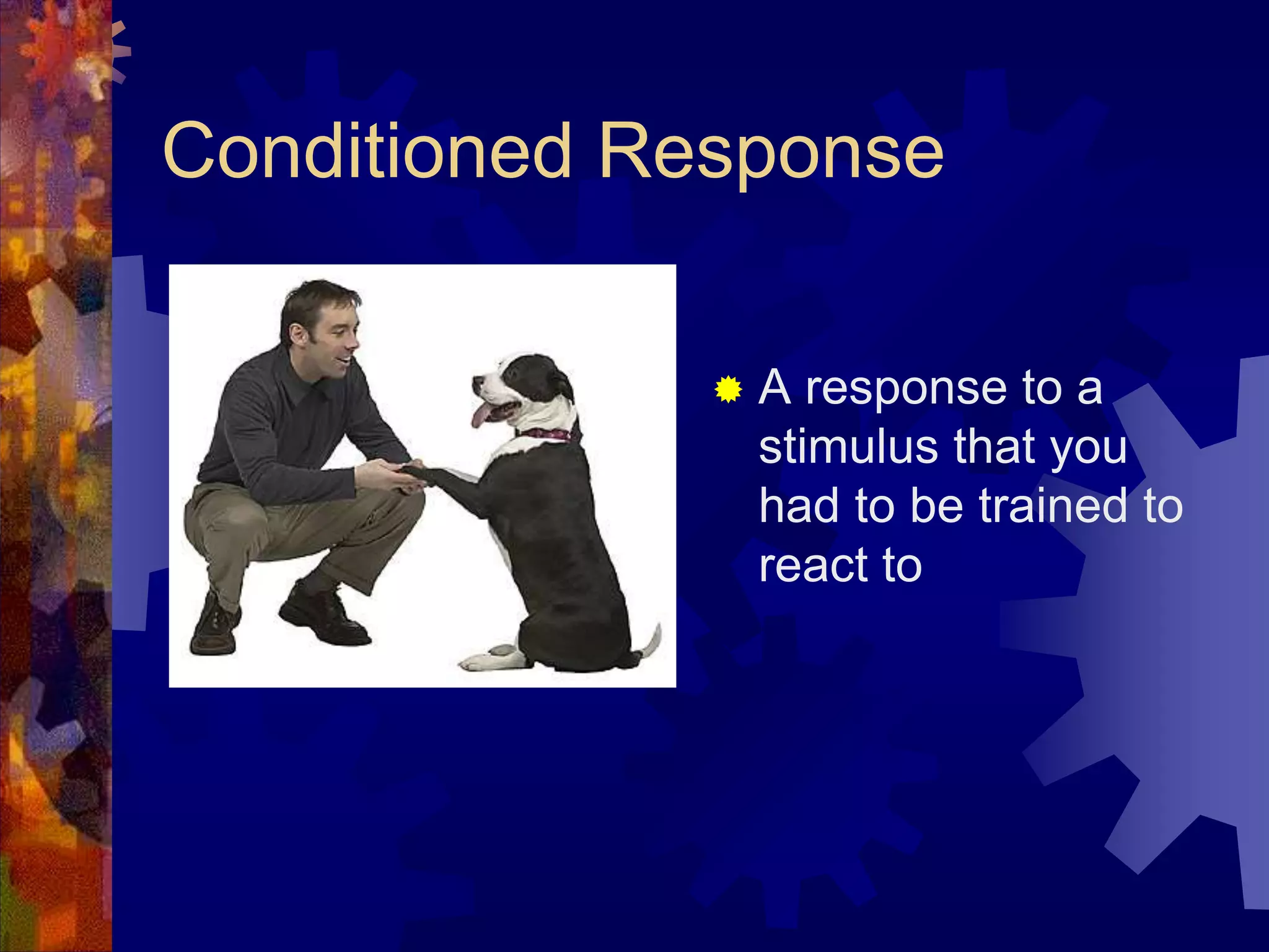Classical Conditioning Presentation.pptx | Dogs | Pets