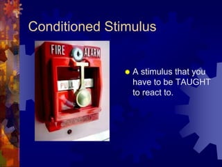 Classical Conditioning Presentation.pptx | Dogs | Pets