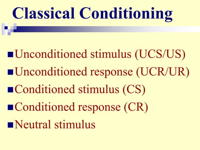 Classical Conditioning Terminology.pdf