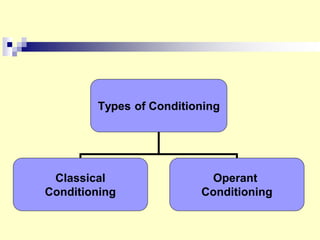 Classical Conditioning Terminology.pdf