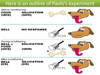 Classical conditioning theory | PPTX