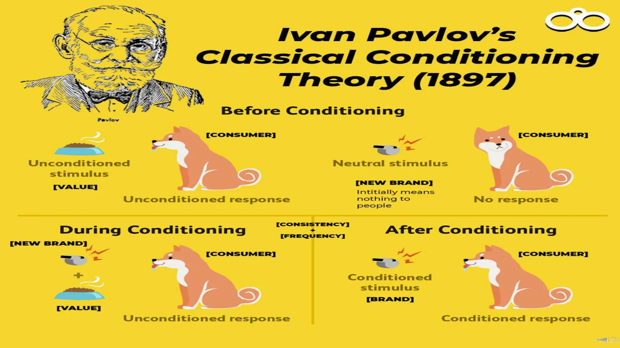 classical conditioning theory and its implications | PPTX