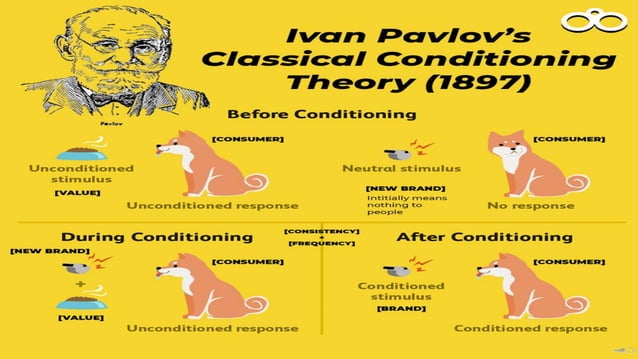 classical conditioning theory and its implications | PPTX | Dogs | Pets