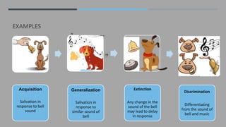 Classical conditioning theory | PPTX