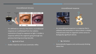Classical conditioning theory | PPTX