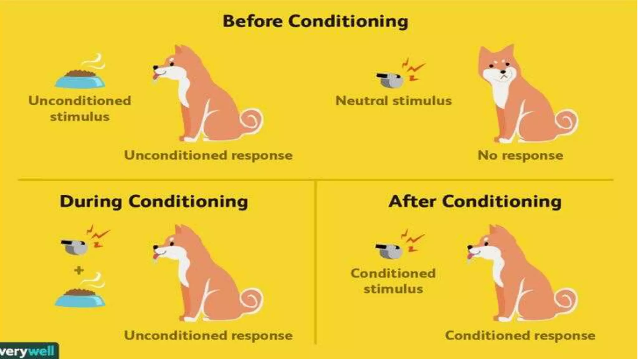 Classical conditioning vs operant conditioning (2) | PPTX