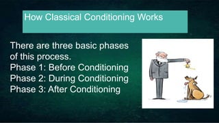 Classical conditioning vs operant conditioning (2) | PPTX