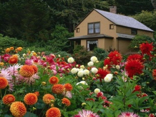 CLASSICAL GARDEN | PPS