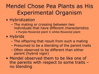Classical genetics | PPT