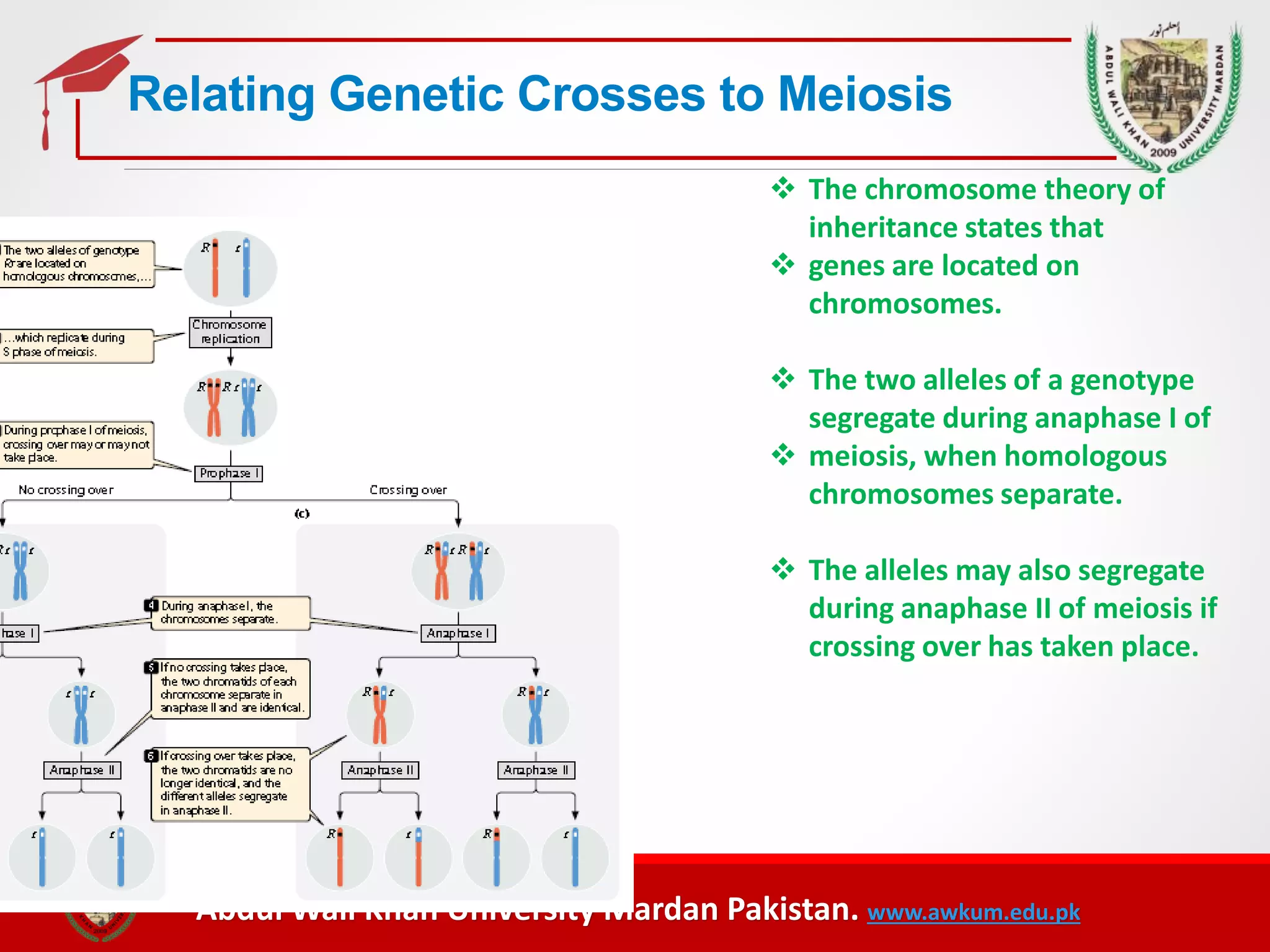 Classical Genetics lecture 2.pptx