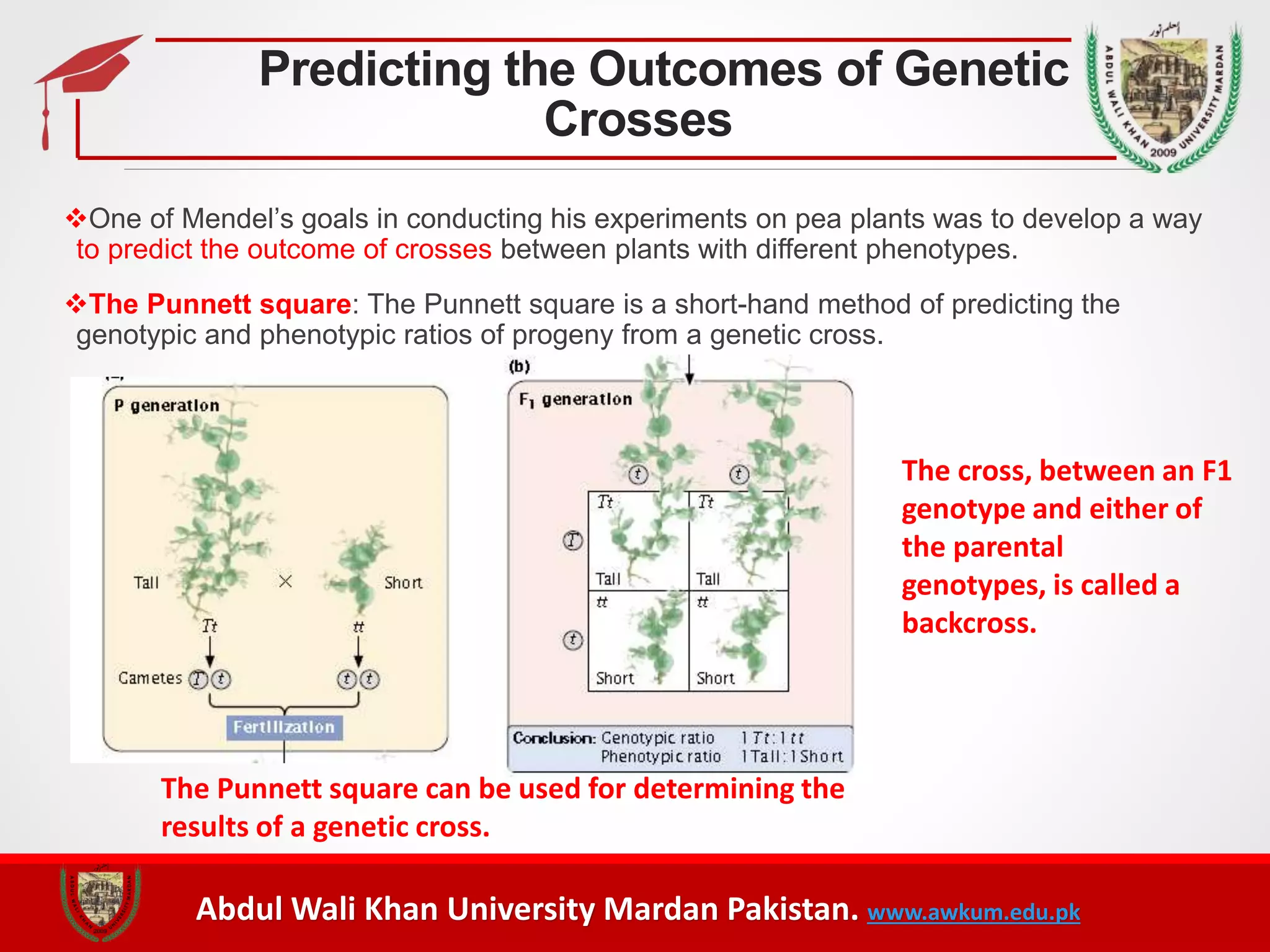 Classical Genetics lecture 2.pptx