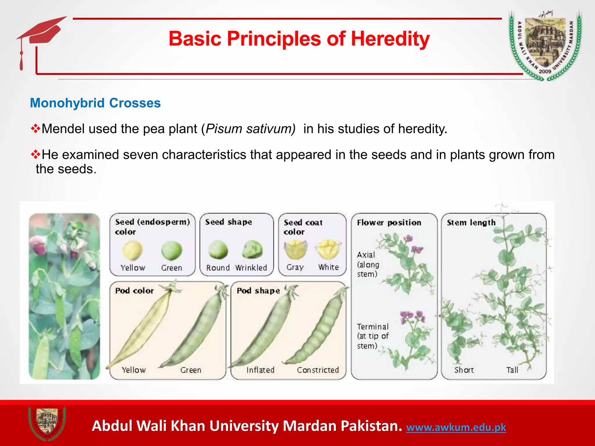 Classical Genetics lecture 2.pptx