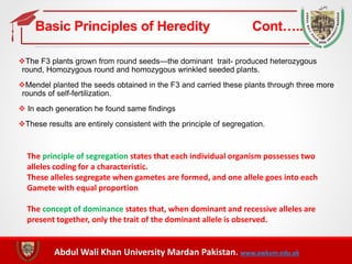 Classical Genetics lecture 2.pptx