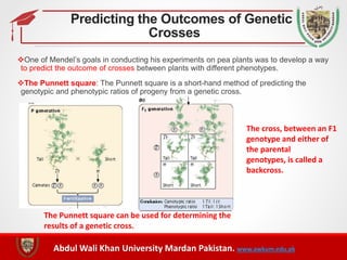 Classical Genetics lecture 2.pptx