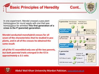 Classical Genetics lecture 2.pptx