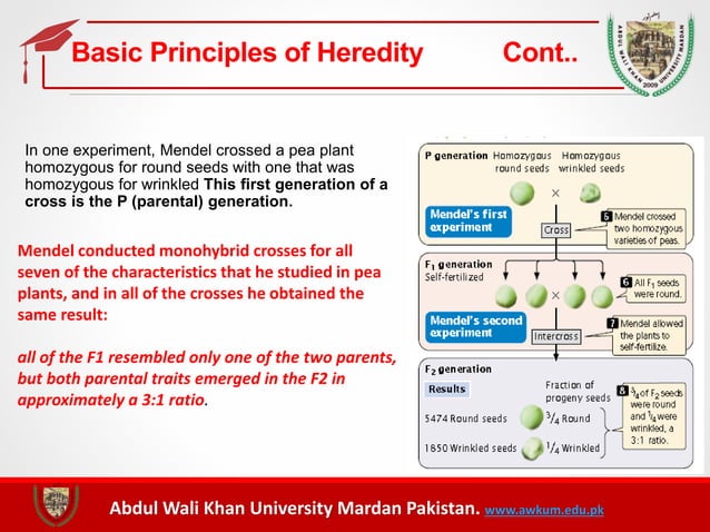 Classical Genetics lecture 2.pptx