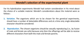 Classical (Mendelian) Genetics .ppt.pptx