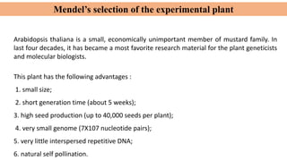Classical (Mendelian) Genetics .ppt.pptx