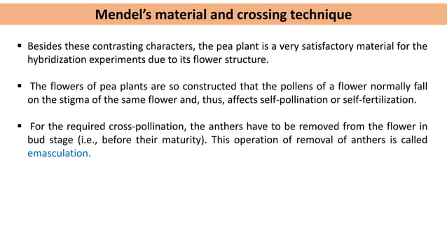 Classical (Mendelian) Genetics .ppt.pptx
